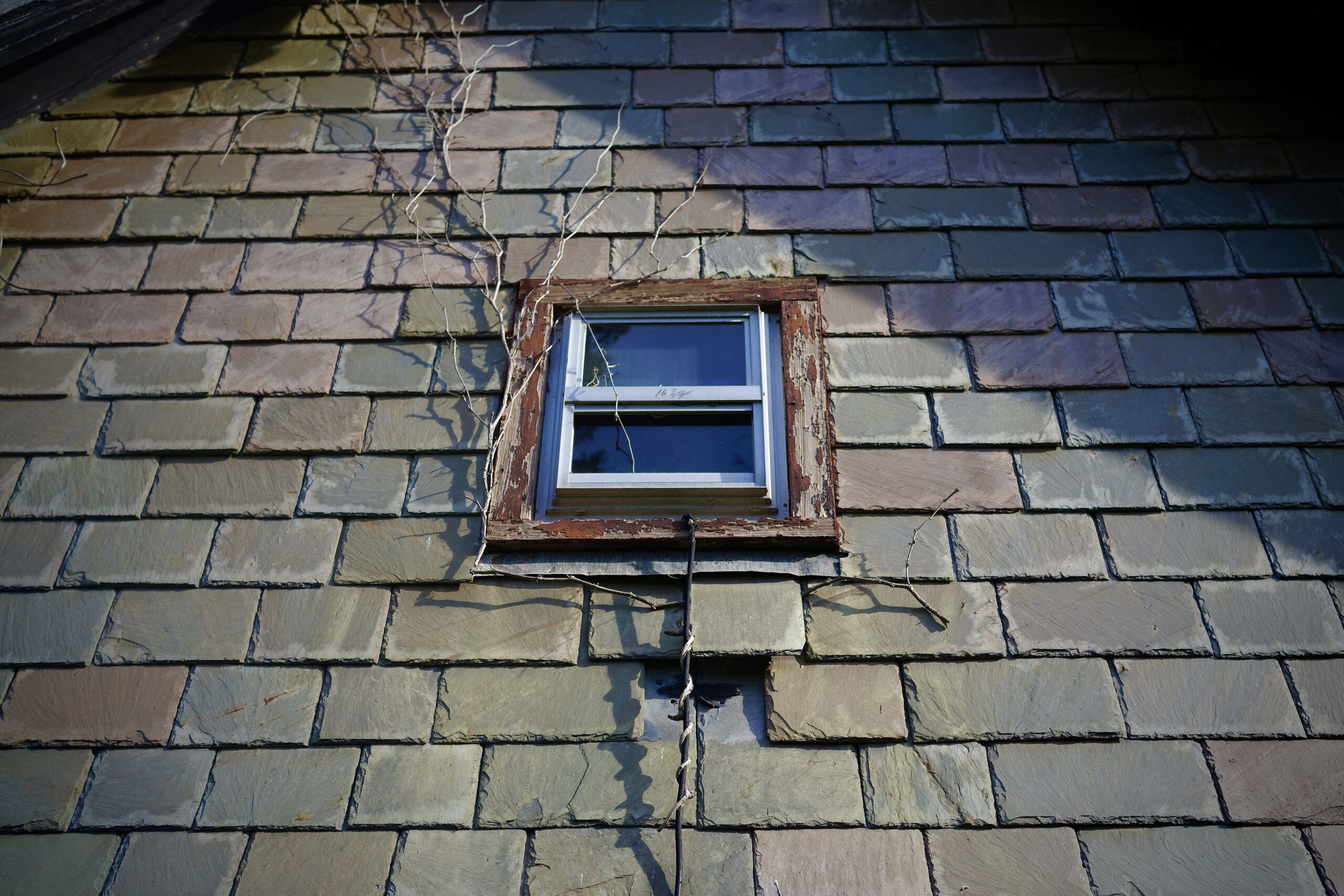 Adventure shots! - Modern Cannibal Magazine