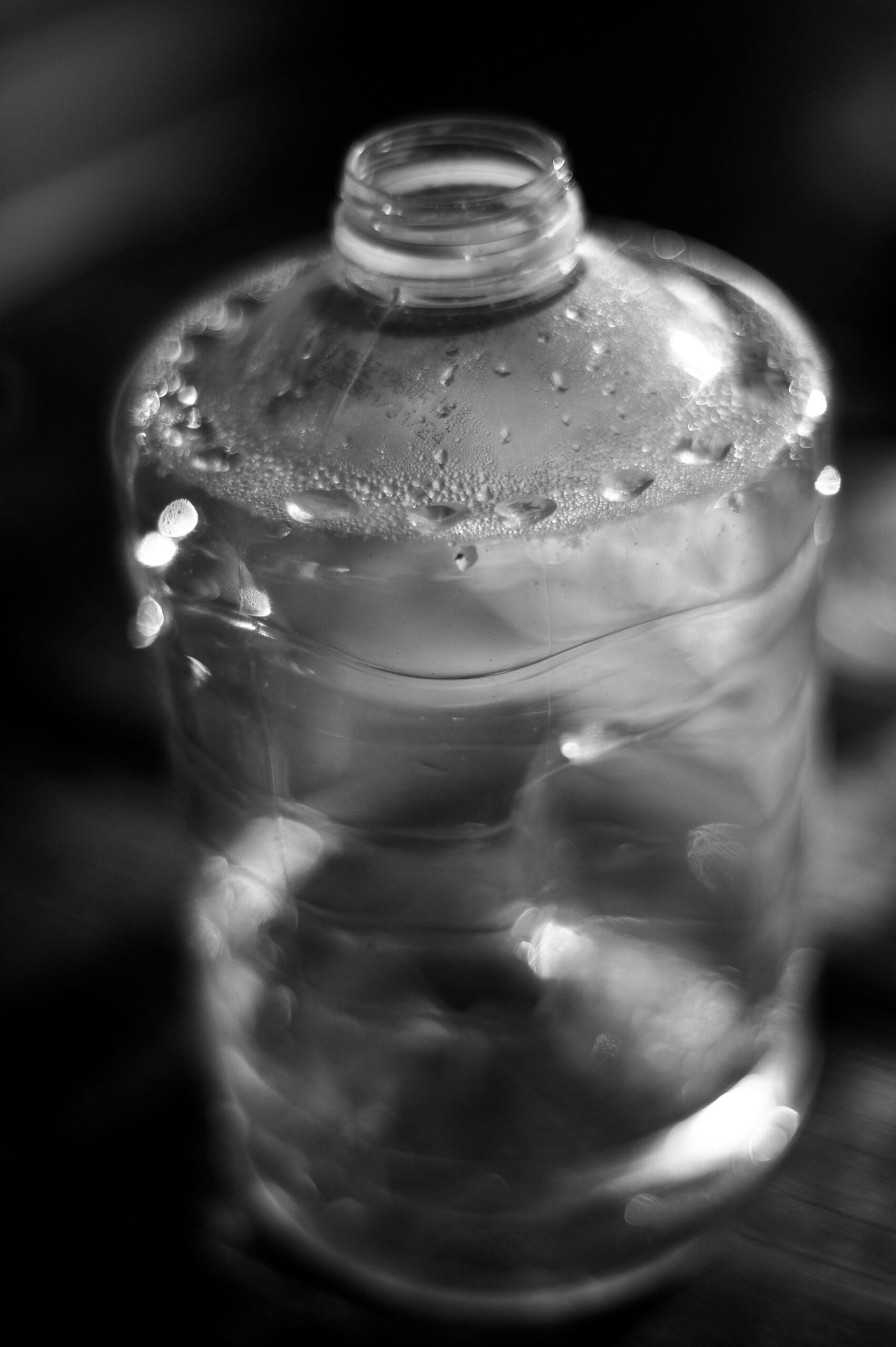 Adventure shots! - Modern Cannibal Magazine